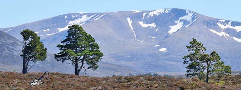 Badenoch and Strathspey - Scotland Info Guide